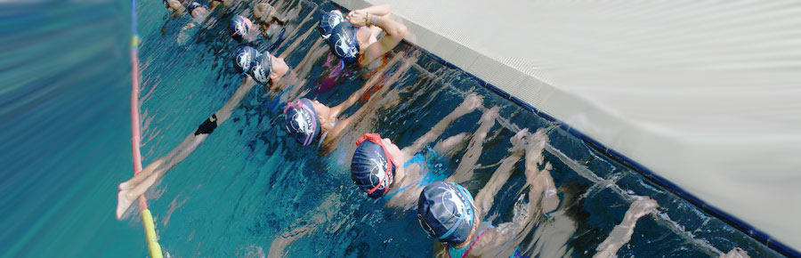 Enrolment - Eltham Swimming School